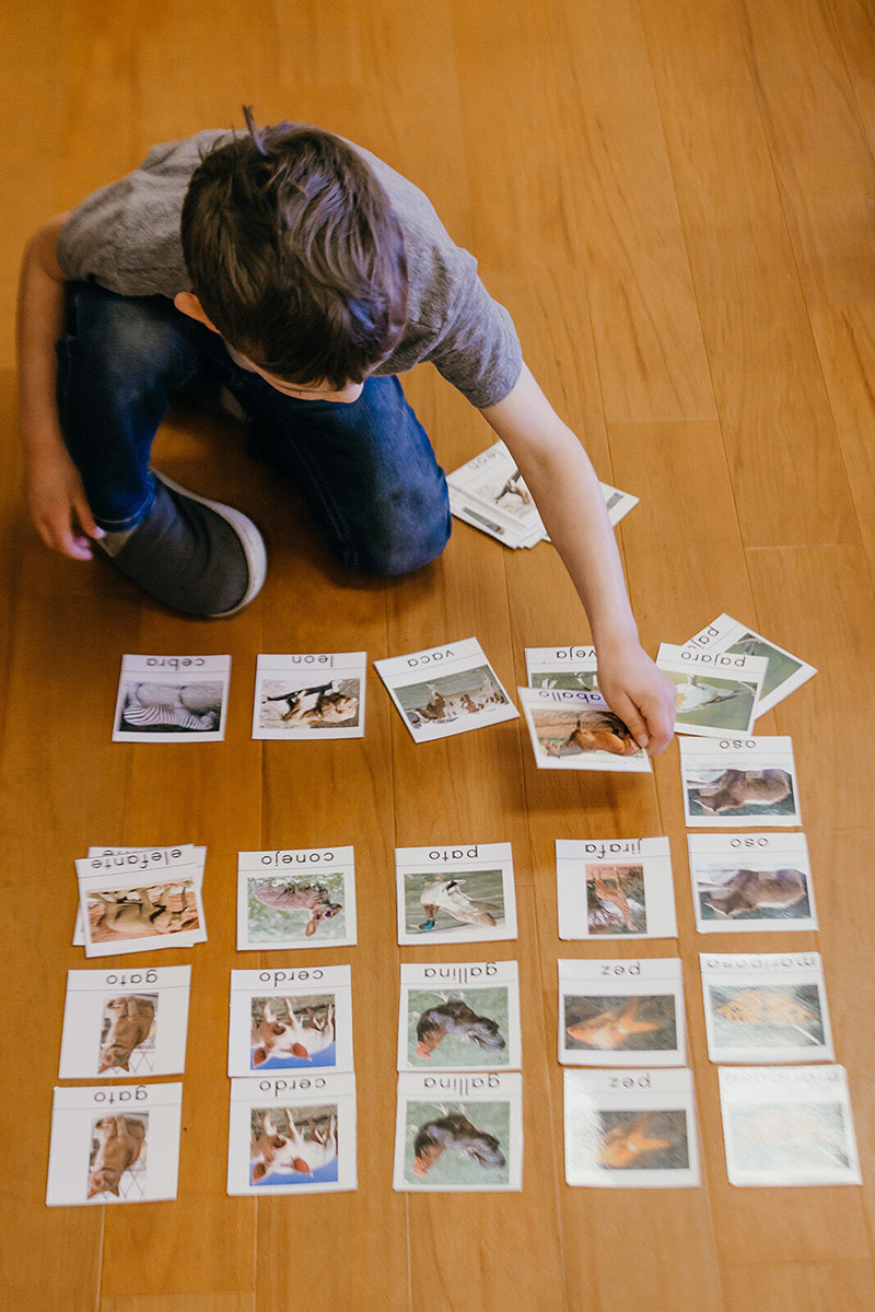 Dual Language & Bilingual Education | International Montessori